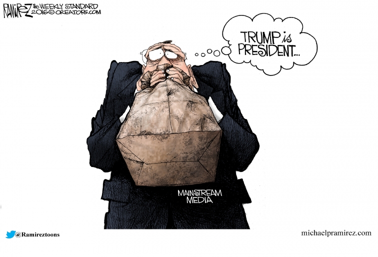 Media Center - Editorial Cartoons